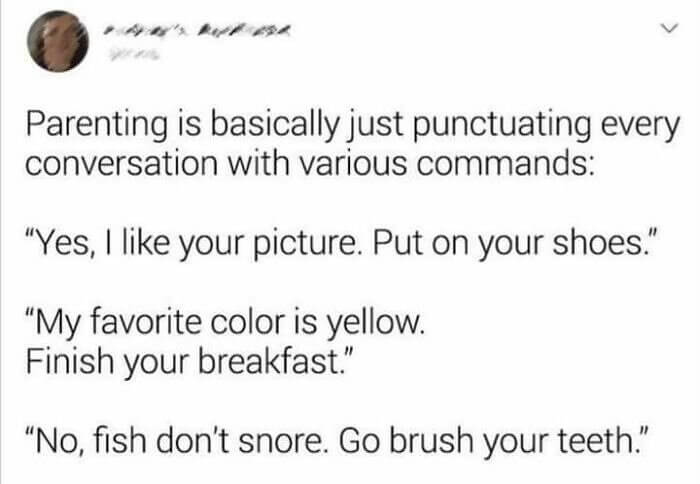 Memes That Perfectly Sum Up What It Really Like For Parents Raising A memes-that-perfectly-sum-up-what-it-really-like-for-parents-raising-a