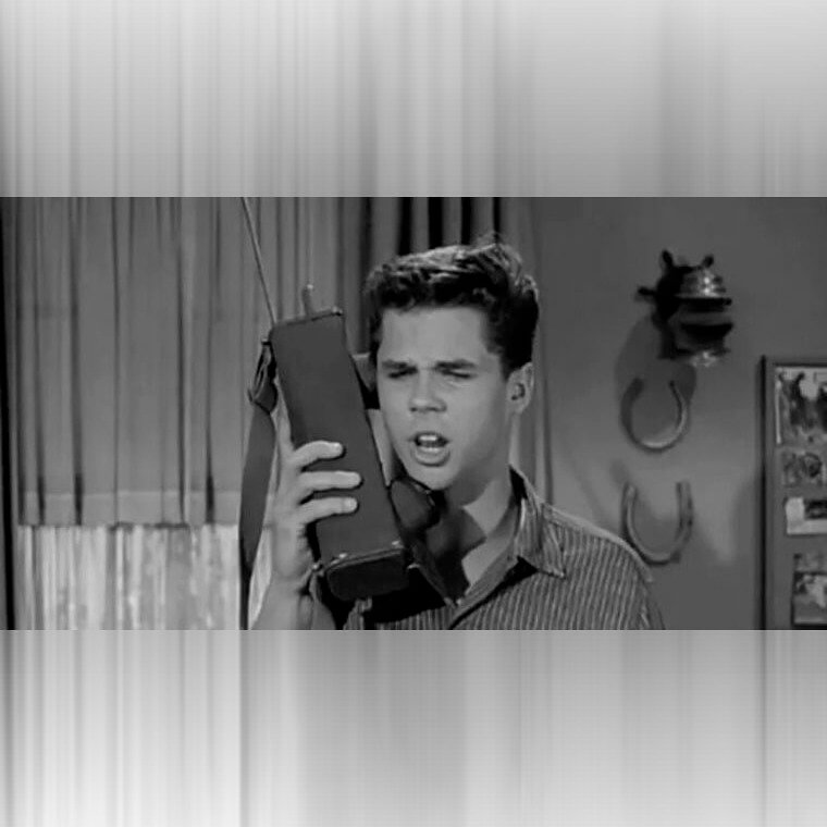 Gee, Wally! 33 Little-Known Facts About Everyone's Favorite Family Show ...