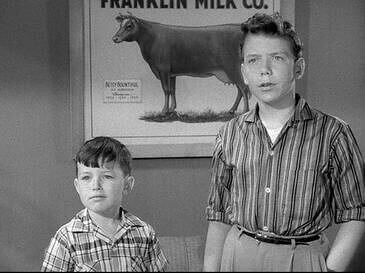 Gee, Wally! 33 Little-Known Facts About Everyone's Favorite Family Show ...