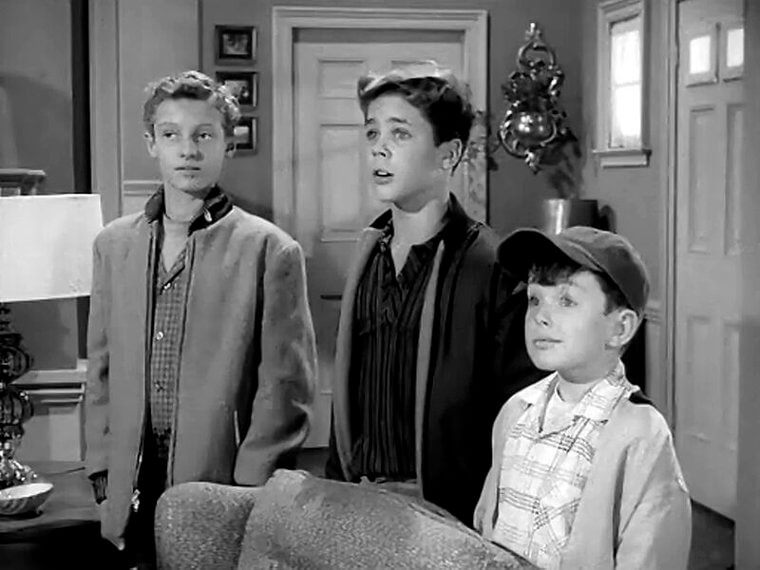 Gee, Wally! 33 Little-Known Facts About Everyone's Favorite Family Show ...