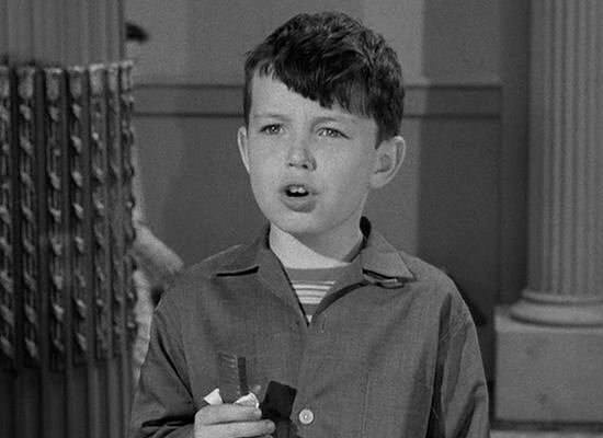 Gee, Wally! 33 Little-Known Facts About Everyone's Favorite Family Show ...