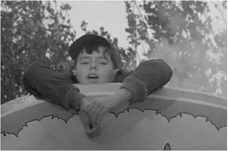 Gee, Wally! 33 Little-Known Facts About Everyone's Favorite Family Show, 'Leave It to Beaver ...