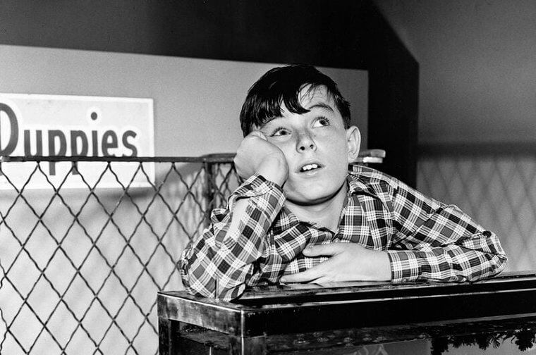 Gee, Wally! 33 Little-Known Facts About Everyone's Favorite Family Show ...