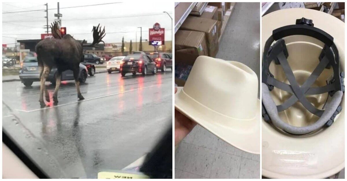 35 Hilarious Photos That Show How Different Countries Can Be From Our ...