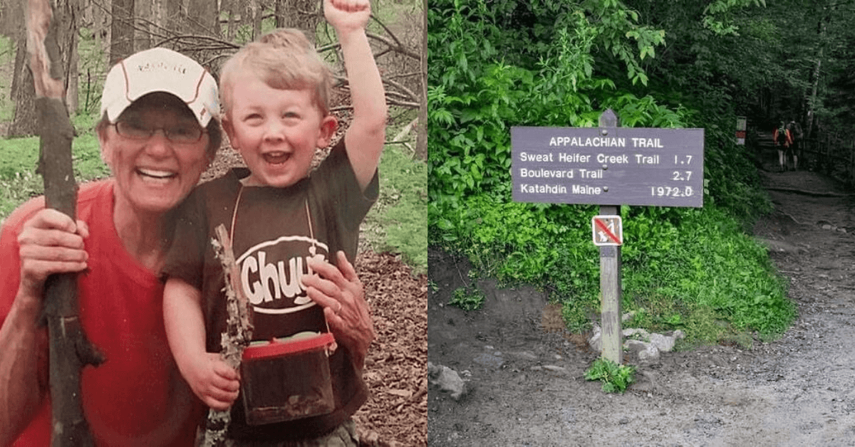 The Heartbreaking and Oh-So Frustrating Story of the Disappearance of ...