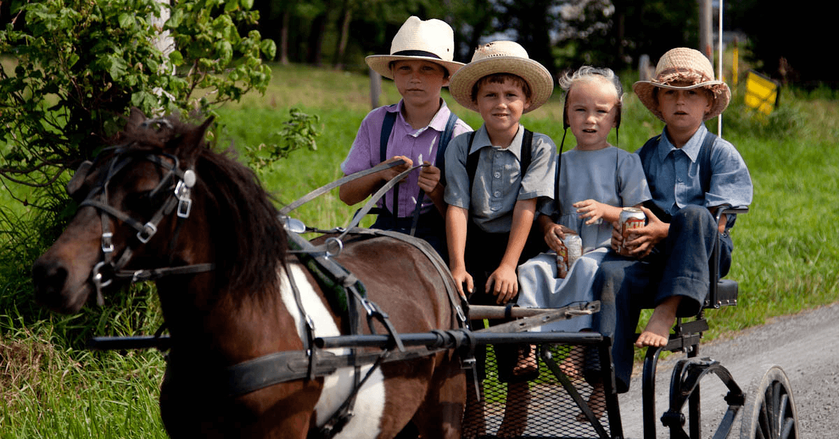 Fascinating Facts About The Amish | OpossumSauce