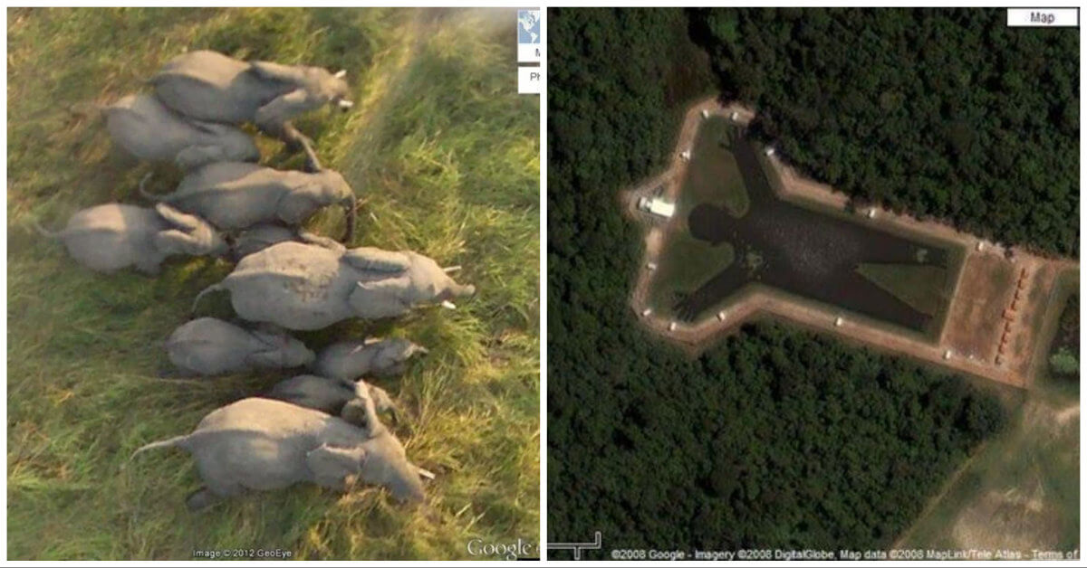 The Strangest Things Google Earth Has Collected Over The Years ...