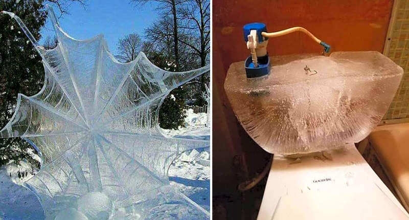 45 Of the Most Amazing and Unexpected Photos Of Frozen Things You’ll ...