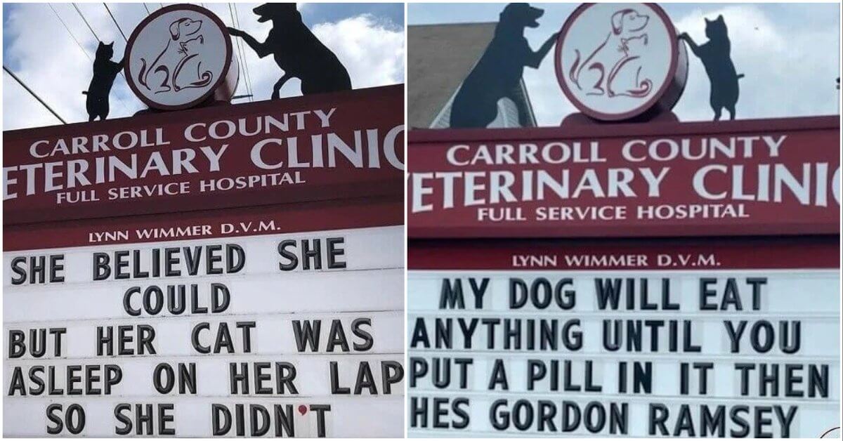 Funny Vet Signs to Brighten Your Day | WithTheFirstPick