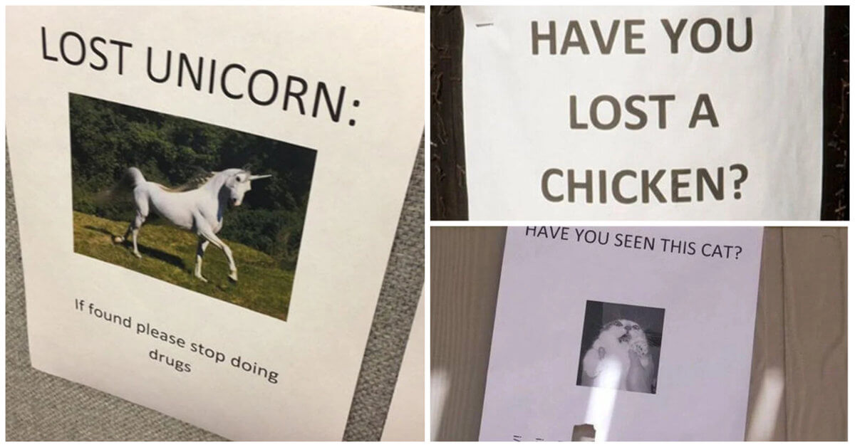 These Hilarious Lost and Found Posters Will Make Your Day ...