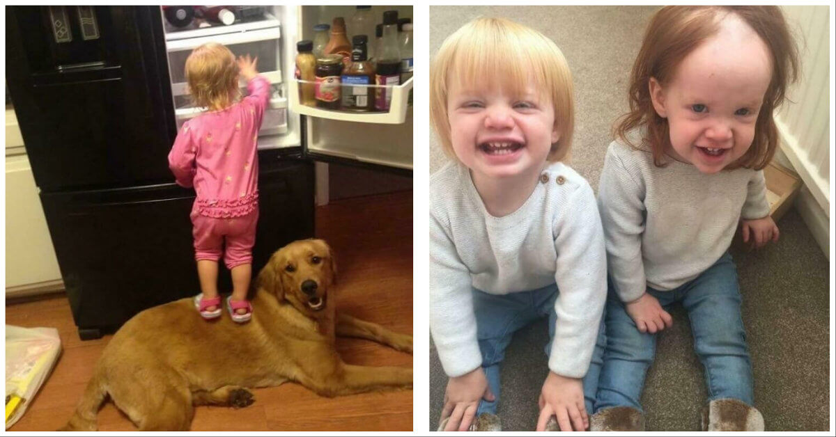 These Clueless Kids Will Put A Smile On Your Face | WithTheFirstPick