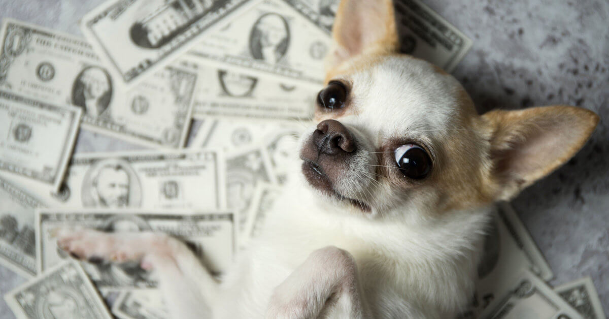 Funny and Accurate Money Memes That Speak The Financial Truth | 365Economist