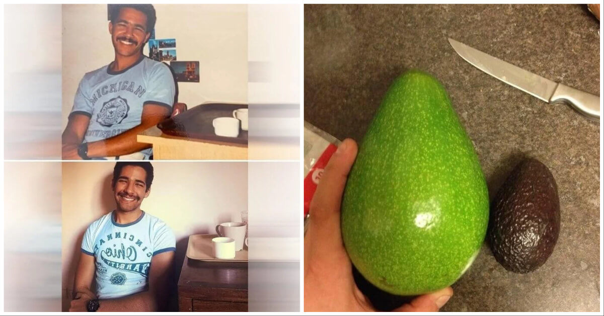 Cool Comparisons Pictures To Really Put Things Into Perspective ...